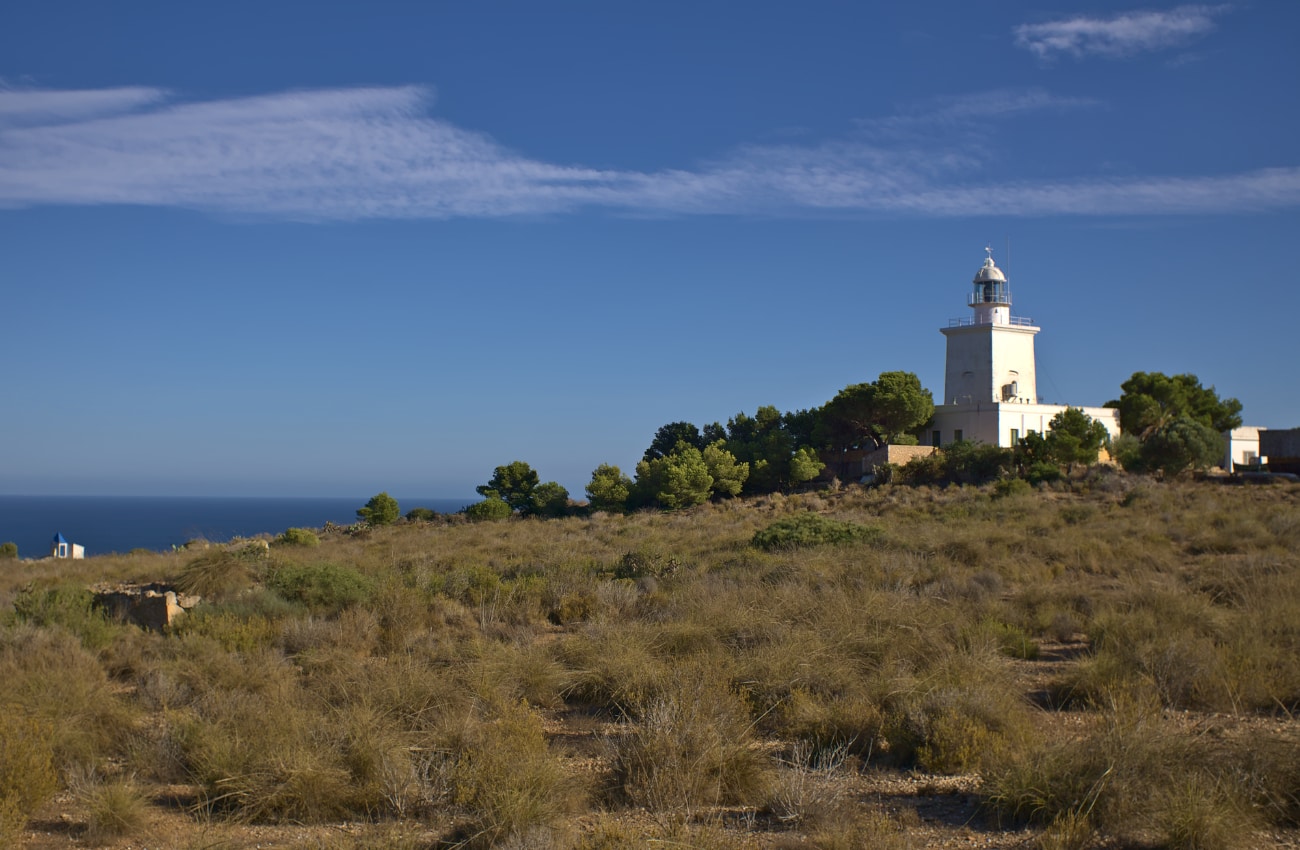 El Cabo de Santa Pola. Vestigios de un arrecife de coral