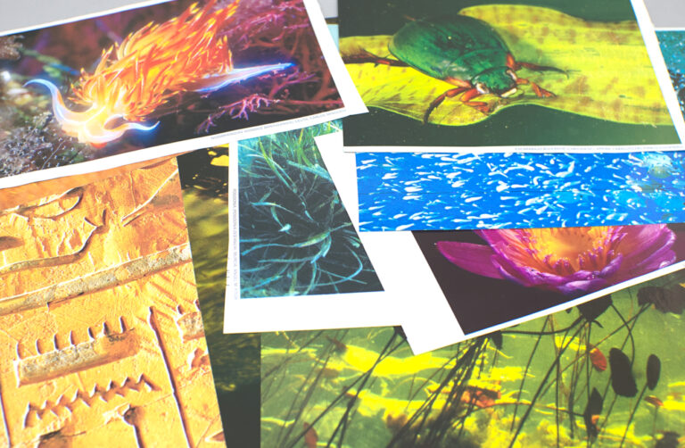 Cómo hacer un cuadro collage de un bodegón con recortes de revista